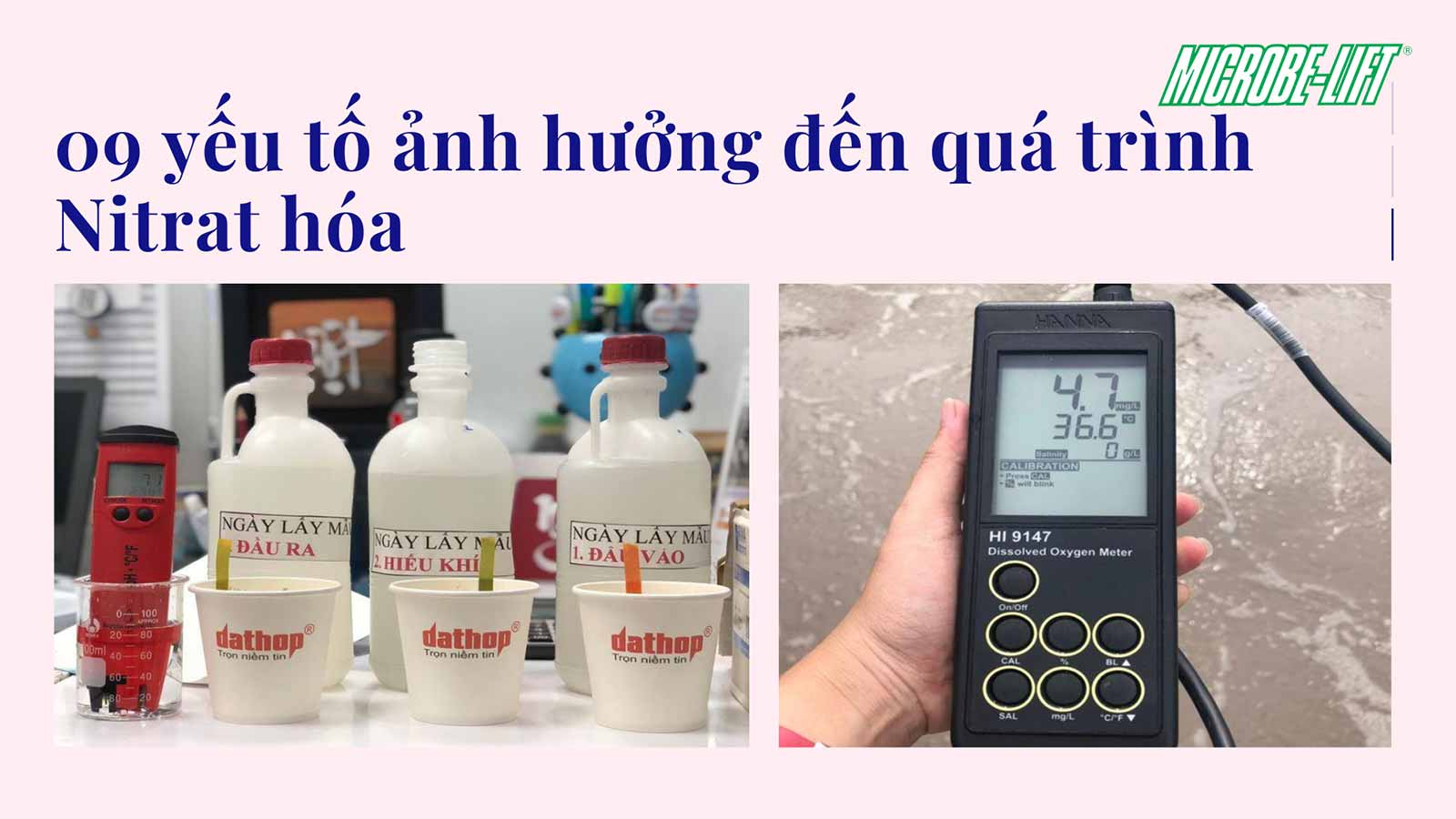 09 Yếu tố ảnh hưởng quá trình Nitrat hóa - MICROBE-LIFT