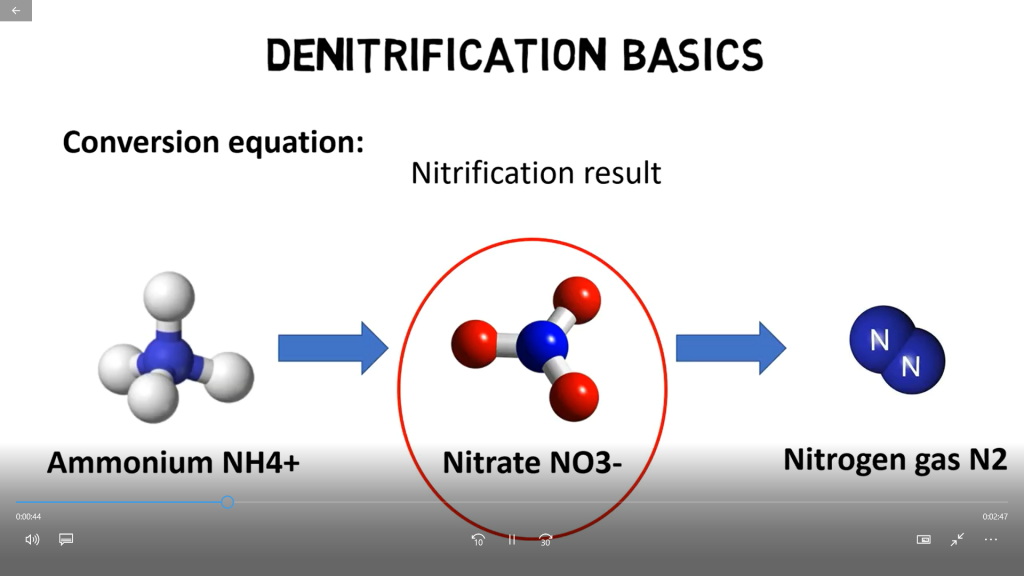 Nitrosomonas và Nitrobacter - Khử khí độc NO2, NH3 ao tôm
