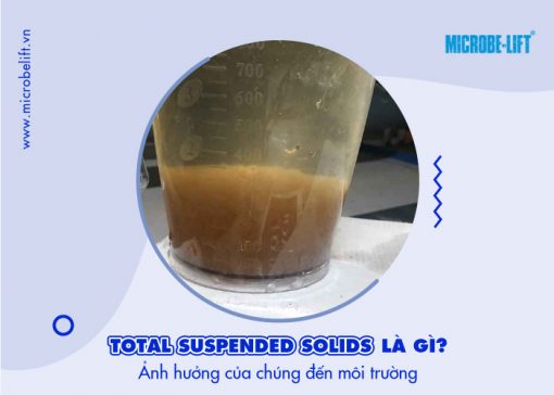Total Suspended Solids là gì? Ảnh hưởng của chúng đến môi trường ...