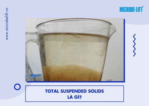 Total Suspended Solids là gì? Ảnh hưởng của chúng đến môi trường