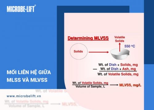 Tìm hiểu về MLSS và MLVSS, mối tương quan giữa hai giá trị này ...