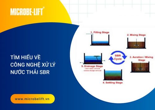 Công nghệ SBR là gì? Quy trình hoạt động và ưu điểm của công nghệ SBR