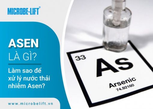 Asen là gì? Làm sao để xử lý nước thải nhiễm Asen?