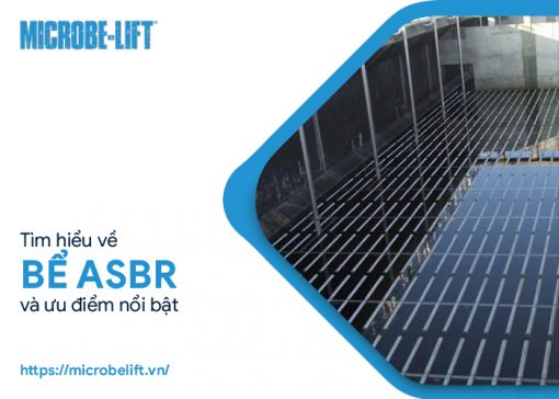 Tìm hiểu về bể ASBR và ưu điểm nổi bật - Microbe Lift