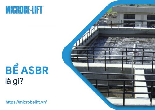 Tìm hiểu về bể ASBR và ưu điểm nổi bật - Microbe Lift