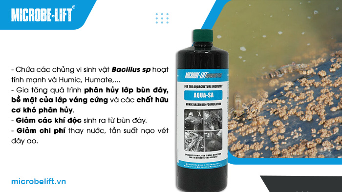 [2026] Top 5 men vi sinh đáng tiền cho ao nuôi tôm thẻ